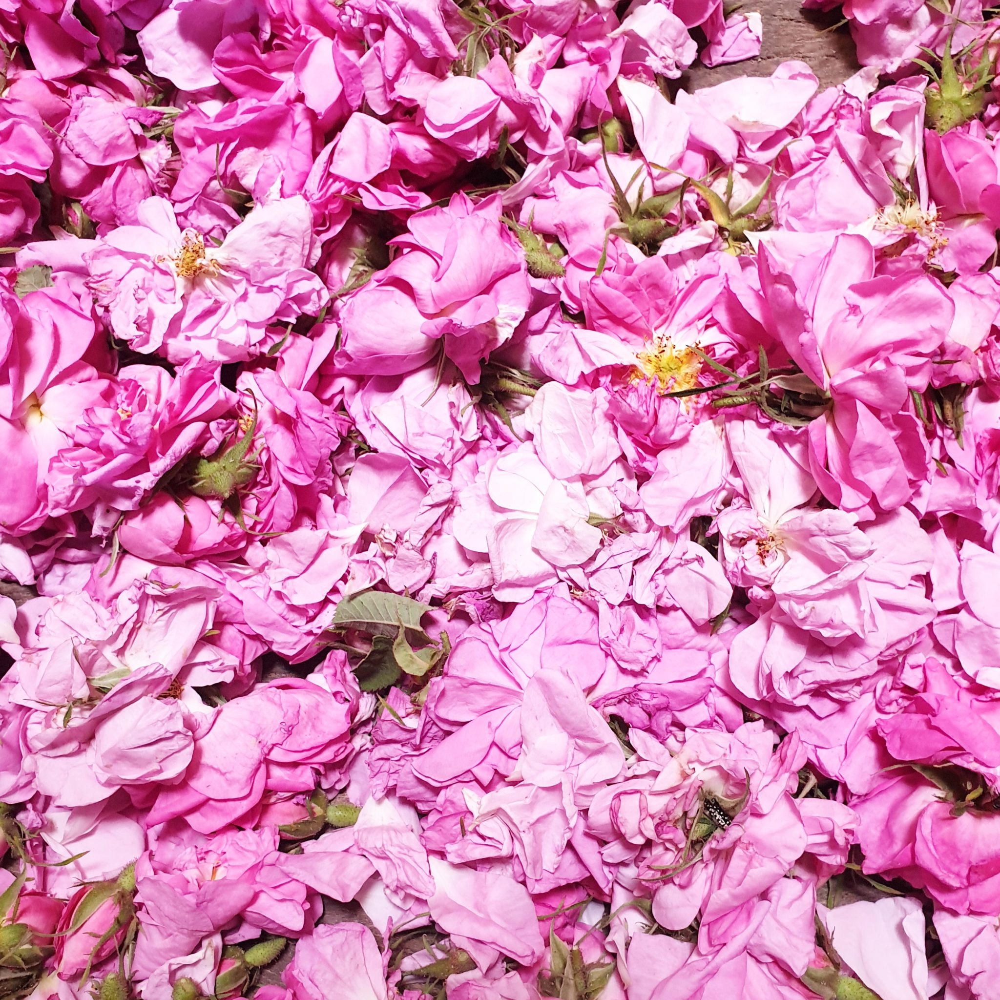 En avant pour un road trip dans le Sud du Maroc - TourDuMonde.fr - blog ...