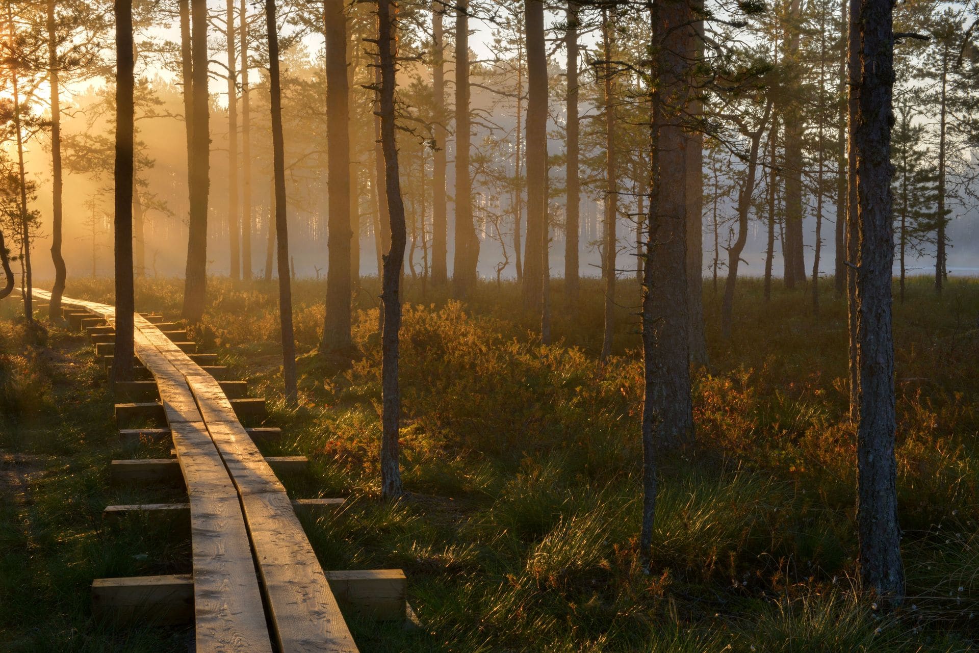 Estonie : En avant pour la plus belle des randonnées - TourDuMonde.fr ...